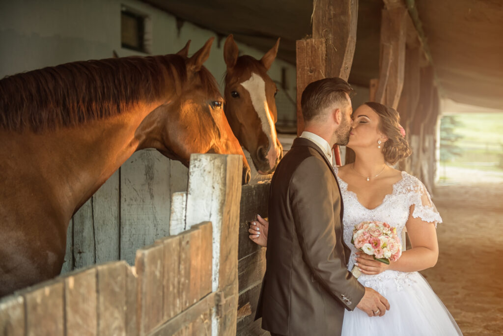 About Prancing Ponies | Wedding & Venue Hire Auckland